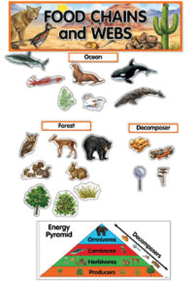 Mini Bulletin Board Sets Food Chains and Webs [CTP1767] > Alco of Canada